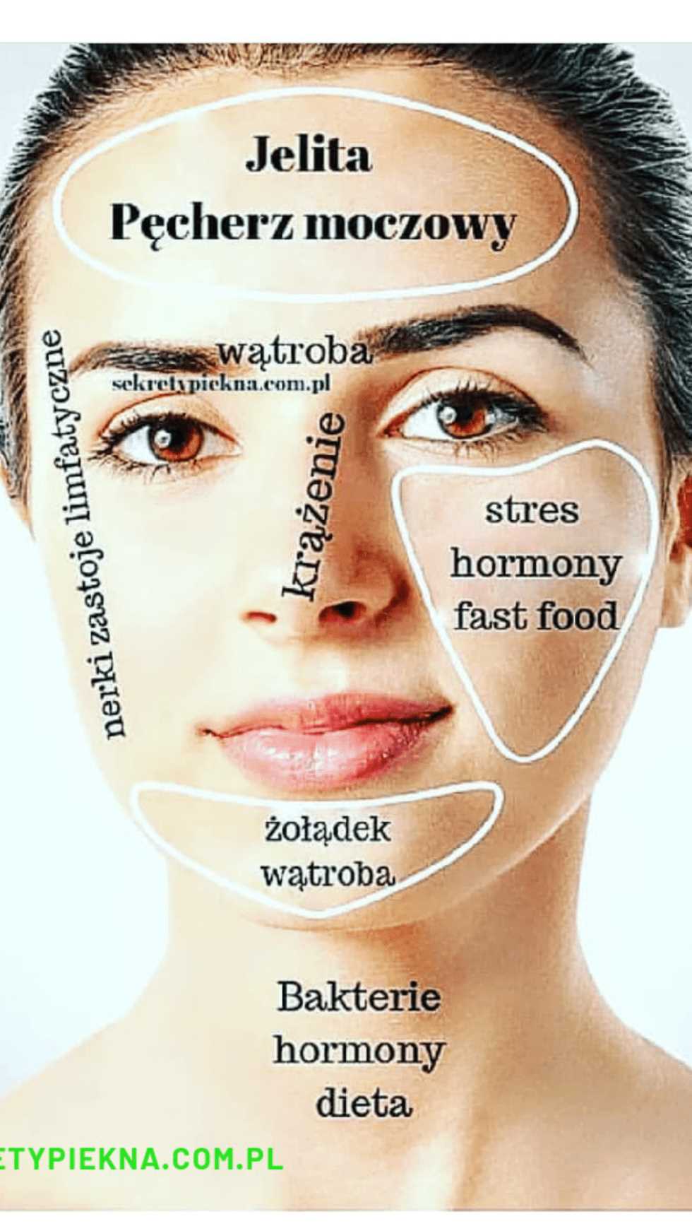 Mapa twarzy pryszcze - przyczyny, leczenie i zapobieganie | Poradnik zdrowia - wrzesień 2025 ...