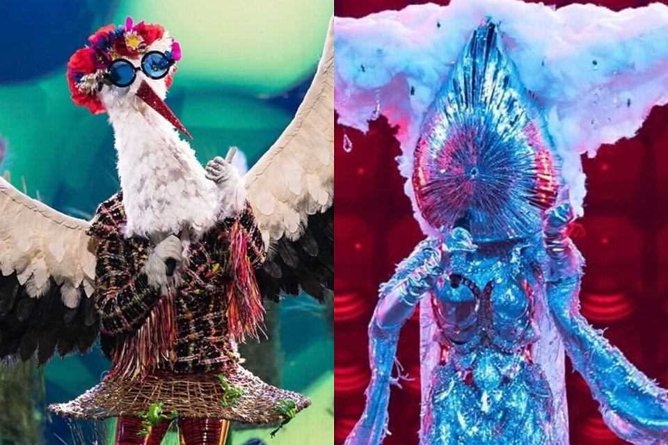 Mask singer bocian - wszystko co musisz wiedzieć o popularnym programie ...
